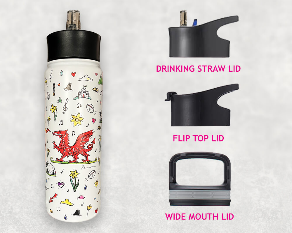 Welsh Dragon Water Bottle | Double Insulated Stainless Steel | Rhiannon Art